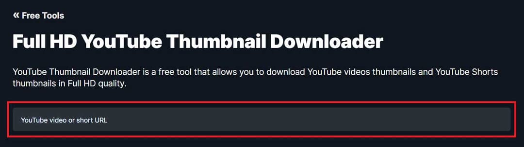 YouTube Thumbnail Downloader [Videos & Shorts] - Wirelogs